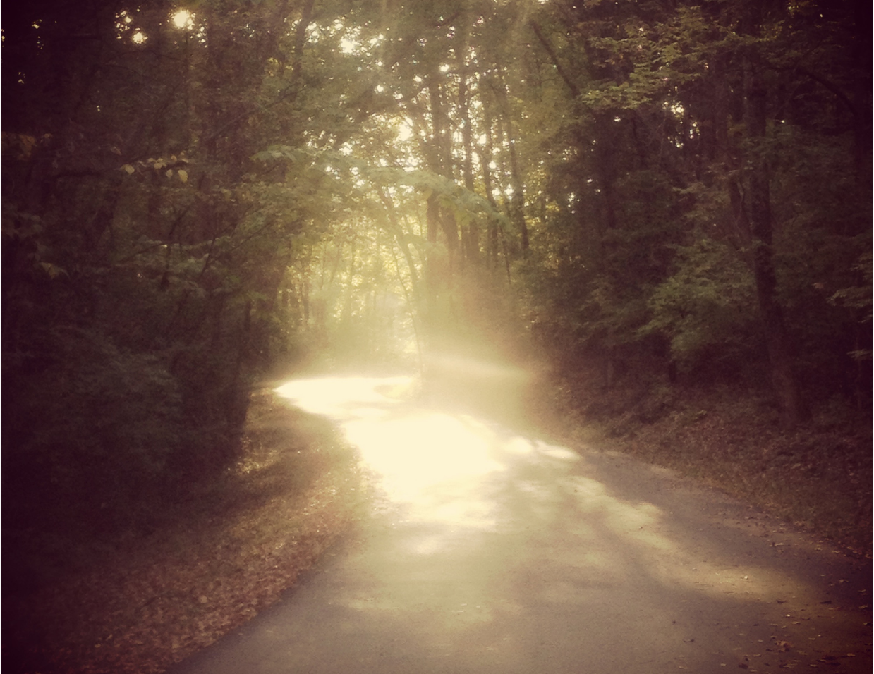 Rediscovering Peace: Naming Your Fears - Refocusing Widows
